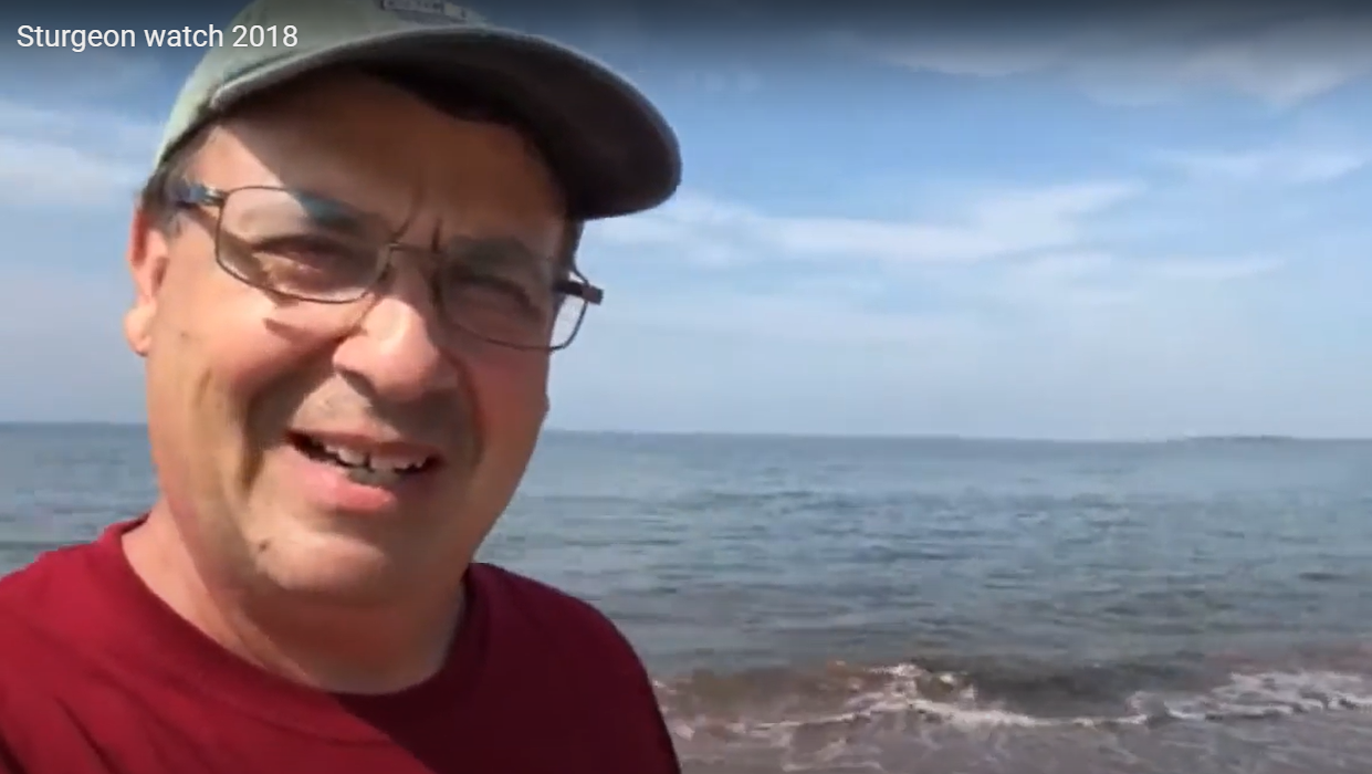 David Lindeman Covers Marine Biology of Staten Island Beaches - TruthSI